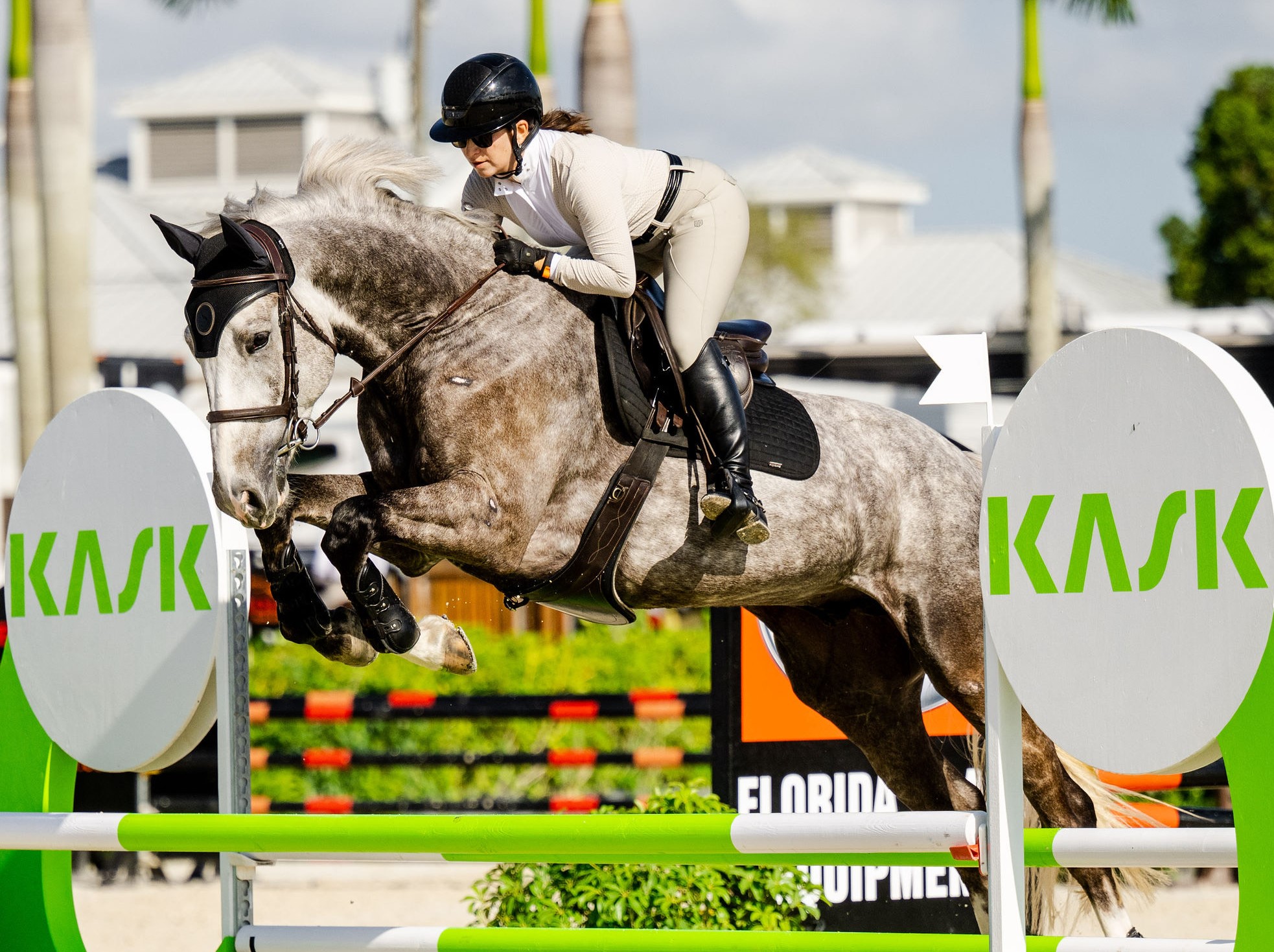 North American Studbook – North American Warmblood registry for sport ...